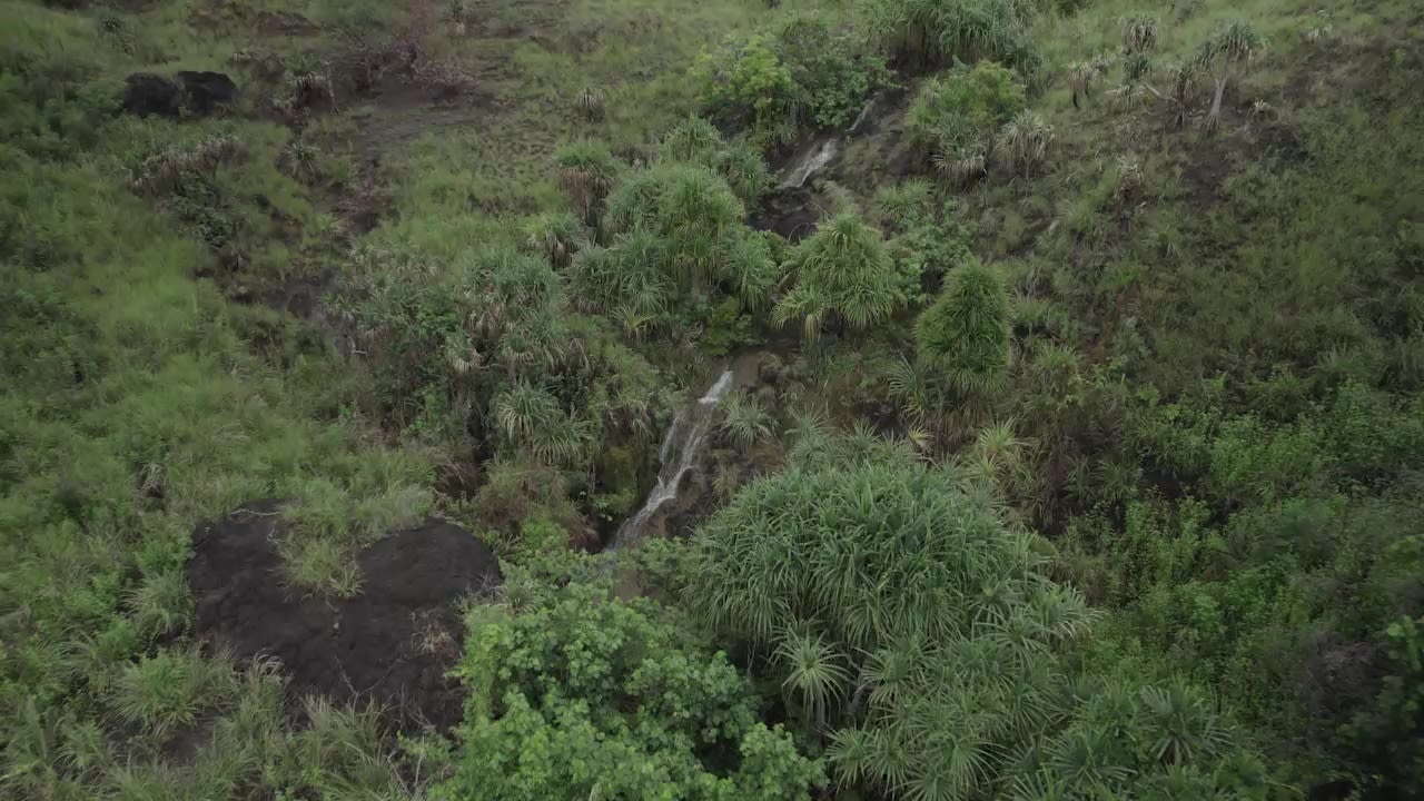 An Inside Look: Julian Aguon - Right Livelihood