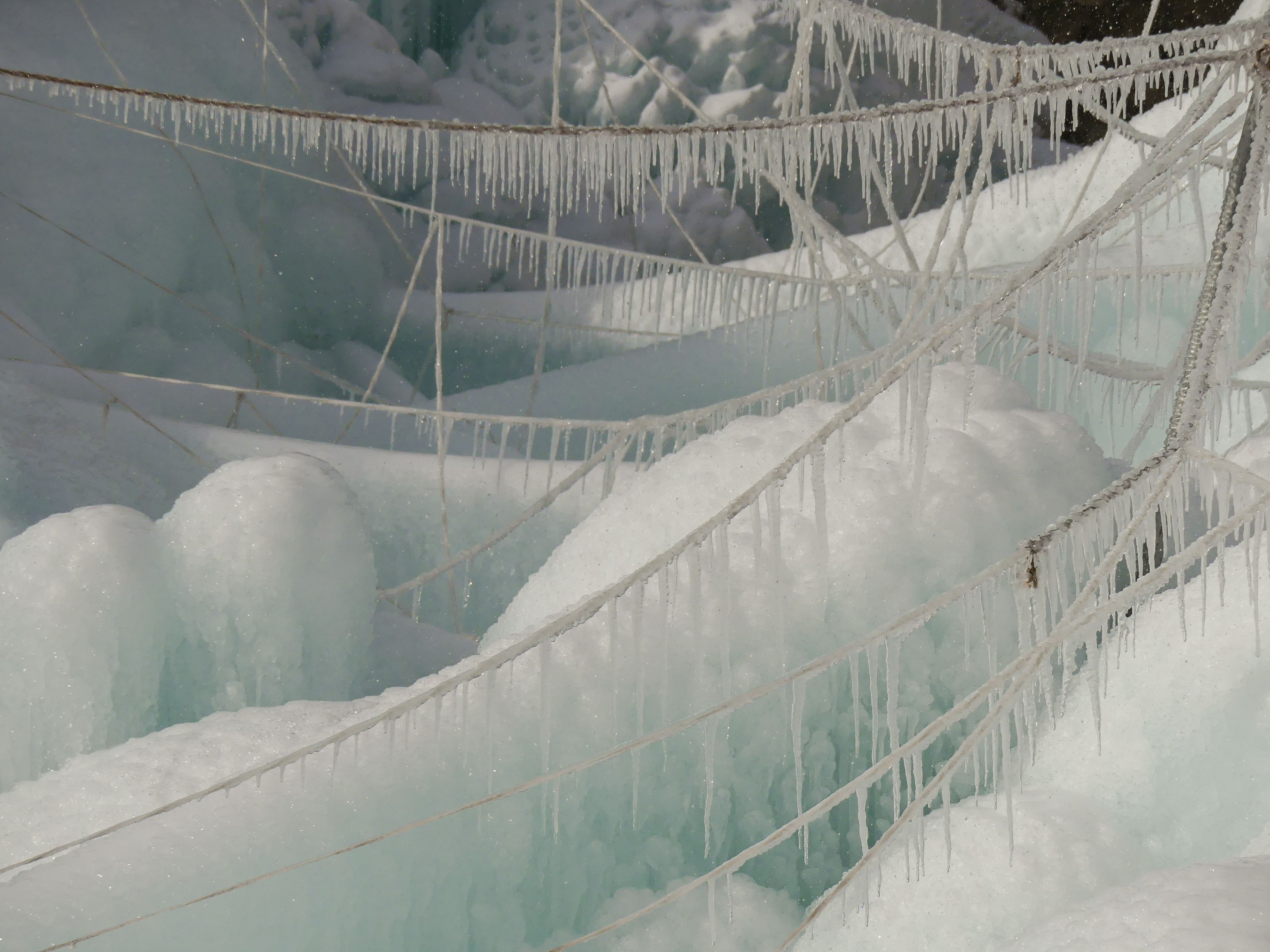 Beyond Profit: Inside the movement that feeds, funds and powers itself ...