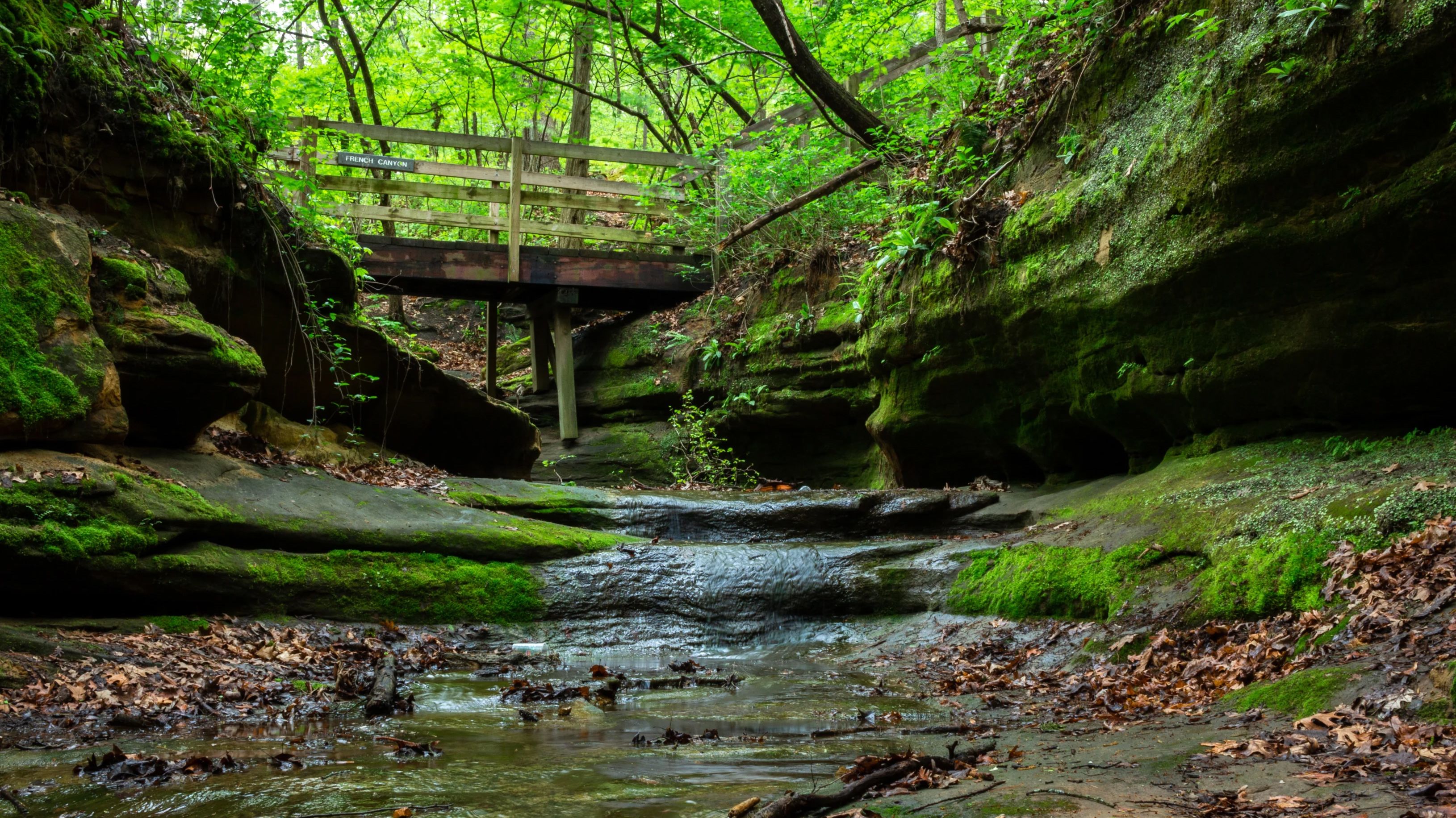 Our Water, Our Future: The Human Right to Water - Right Livelihood